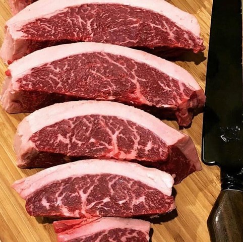 PICAÑA ANGUS - VACUNO MAYOR